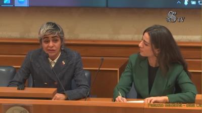 Le attiviste e gli attivisti iraniani Pegah Moshirpour, Shervin Haravi ...